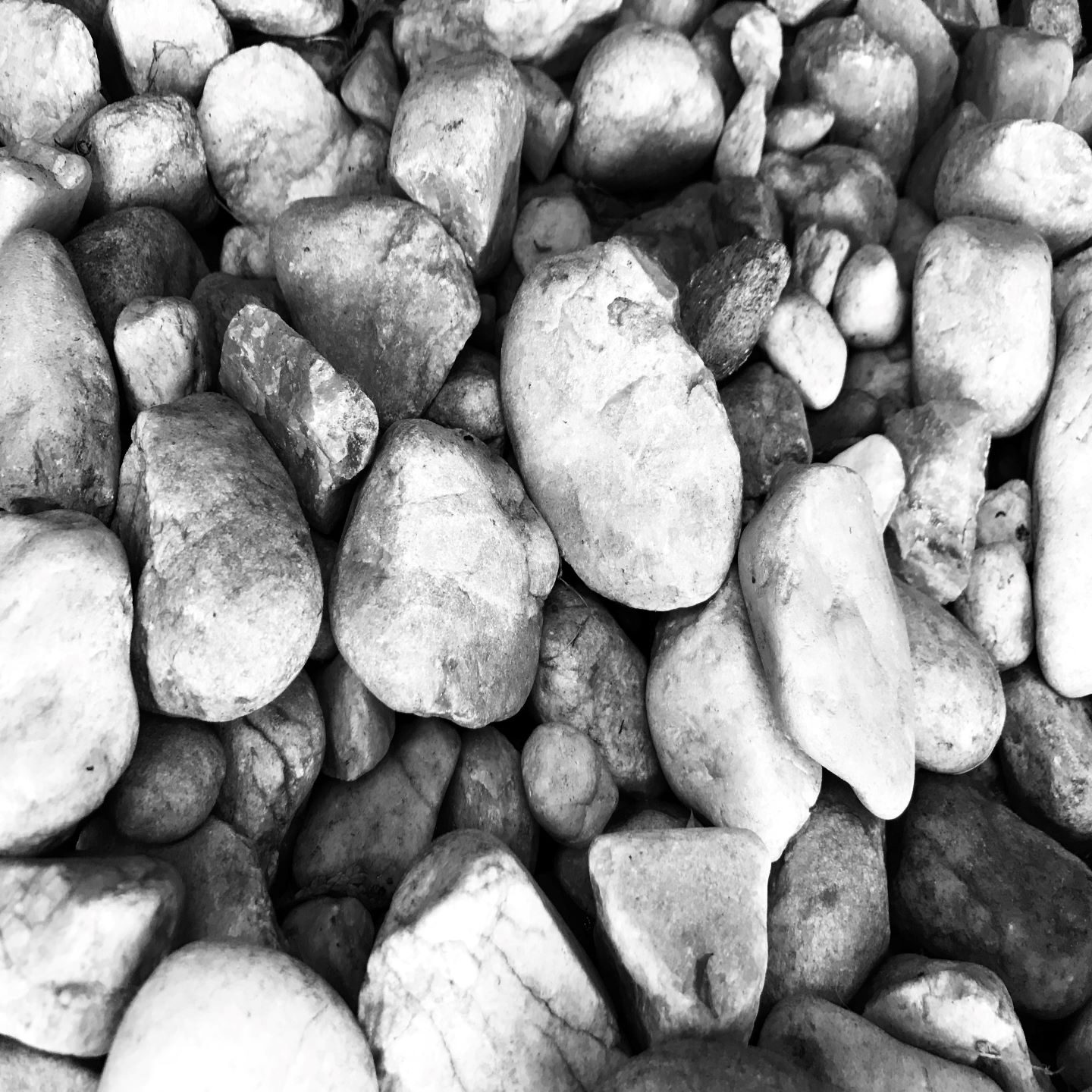 Turnerstone. – No Stone Left Unturned